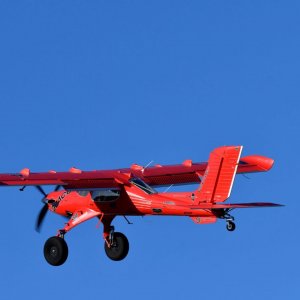 Draco.JPG | RC-Modellbau-Portal